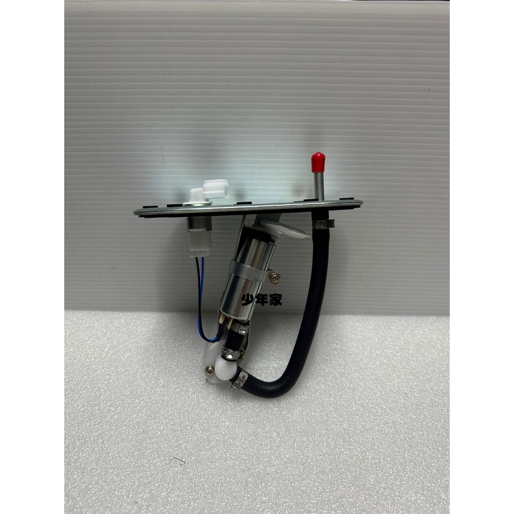 《少年家》副廠 B8B 野狼傳奇 噴射 野狼125EFIPA12M6 T1 150PD15A2 汽油幫浦總成 燃油泵總成 | 蝦皮購物