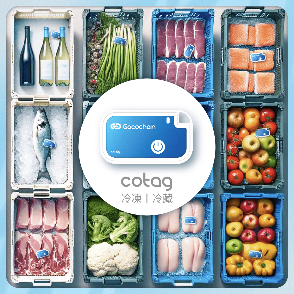 【CoTag 冷鏈溫度記錄標籤】SGS認證 | 手機即可查看｜雲端即時同步｜一次性｜拋棄式｜海空陸運｜溫度記錄器 | 蝦皮購物