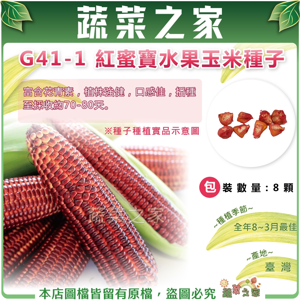 【蔬菜之家滿額免運】G41-1.紅蜜寶水果玉米種子8顆 (有藥劑處理) | 蝦皮購物