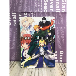 ️書況近新/Fate Labyrinth(全)/輕小說/(櫻井 光.TYPE-MOON/插畫:中原) | 蝦皮購物