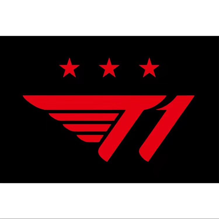 客製化應援旗 rng隊旗 edg隊旗 skt隊旗 jdg隊旗 應援旗 lol英雄聯盟戰隊旗 偶像應援旗 定制手搖旗 旗幟 | 蝦皮購物