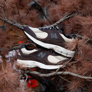 【逢甲FUZZY】New Balance 2002R GORE-TEX 防水 咖啡牛奶 復古 慢跑 M2002RXQ | 蝦皮購物