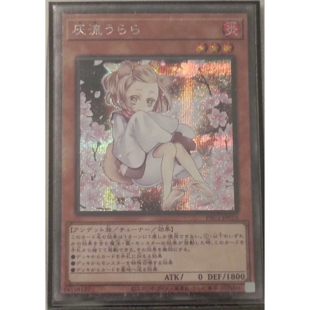 灰流麗 異圖 半鑽 PAC1-JP016 | 蝦皮購物