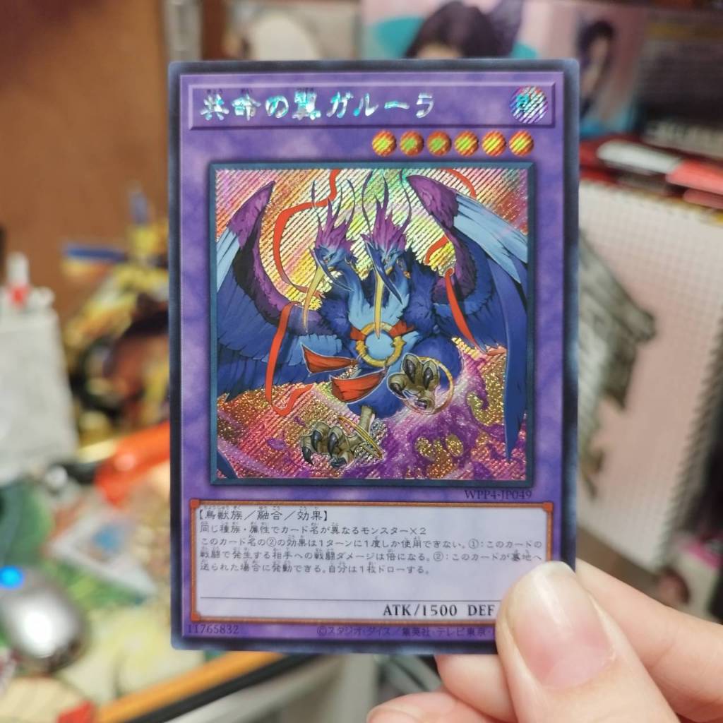 *Ca*~日系賣場~ 遊戲王 卡牌遊戲 WPP4-JP049 共命之翼 迦樓拉 斜鑽 | 蝦皮購物