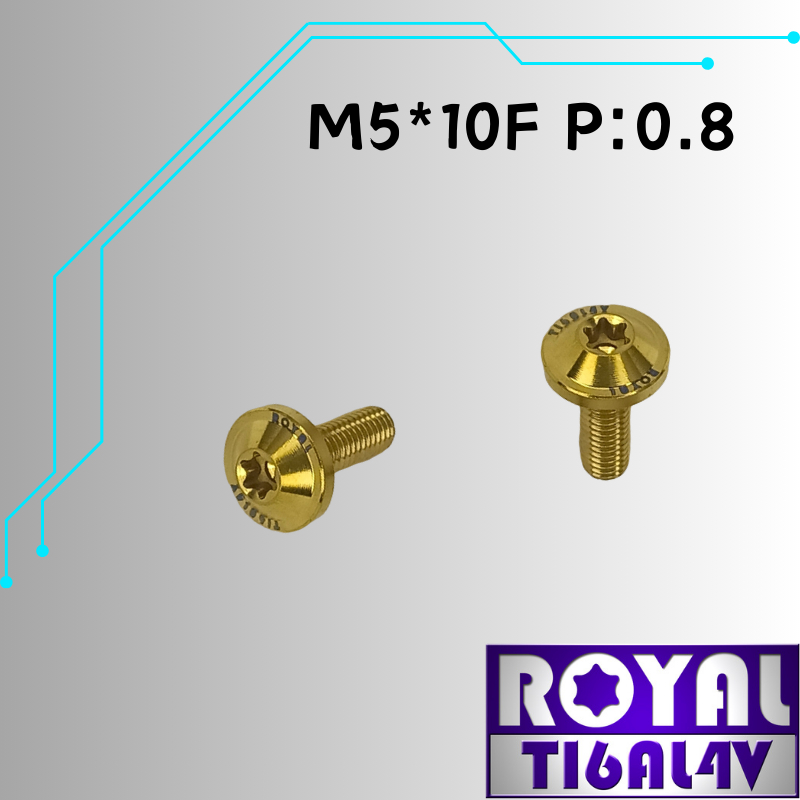 【瘋螺絲】ROYAL 鈦合金螺絲★ M5*10F P:0.8 飛碟頭螺絲★64鈦/正鈦/鈦合金螺絲★出貨附發票★土豪金 | 蝦皮購物