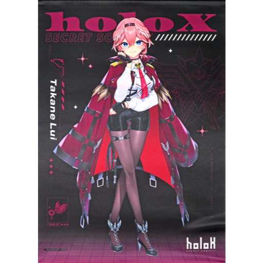 鷹嶺琉依 鷹嶺ルイ 掛軸 B2 虛擬 YouTuber hololive 秘密結社holoX | 蝦皮購物