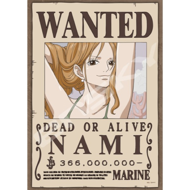 【小巷】海賊王 航海王 2024版懸賞單 娜美 (Ensky, 208片, 208-136, 日本拼圖) | 蝦皮購物