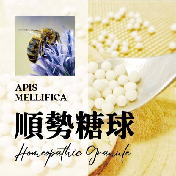順勢糖球【Apis mellifica 蜜蜂】愛、嫉妒、忙碌努力、粉紅鼓脹灼刺／Homeopathic Granule | 蝦皮購物