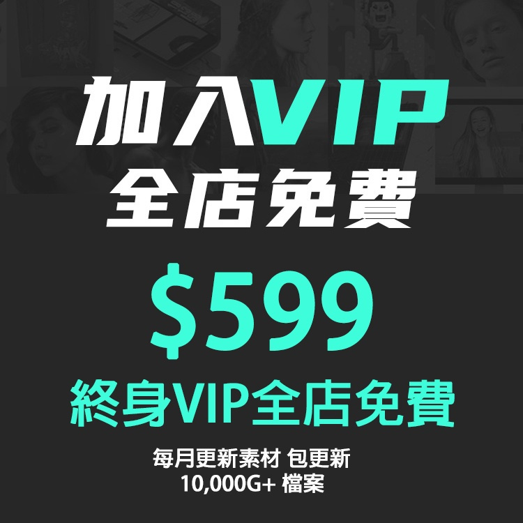 【VIP會員】加入會員599元 全店免費 永久有效 全店檔案隨便你下載 永久更新 終身免費 excel | 蝦皮購物