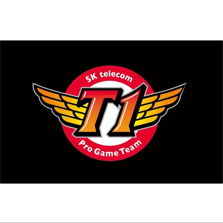 客製化應援旗 rng隊旗 edg隊旗 skt隊旗 jdg隊旗 應援旗 lol英雄聯盟戰隊旗 偶像應援旗 定制手搖旗 旗幟 | 蝦皮購物