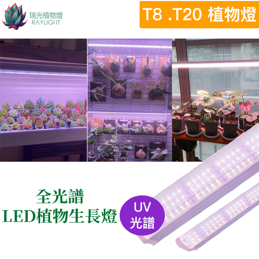 [瑞光植物燈]全光譜植物燈PRO T8/T20 多肉 塊根 龍舌蘭 觀葉 鹿角蕨 上色防徒 燈管 | 蝦皮購物