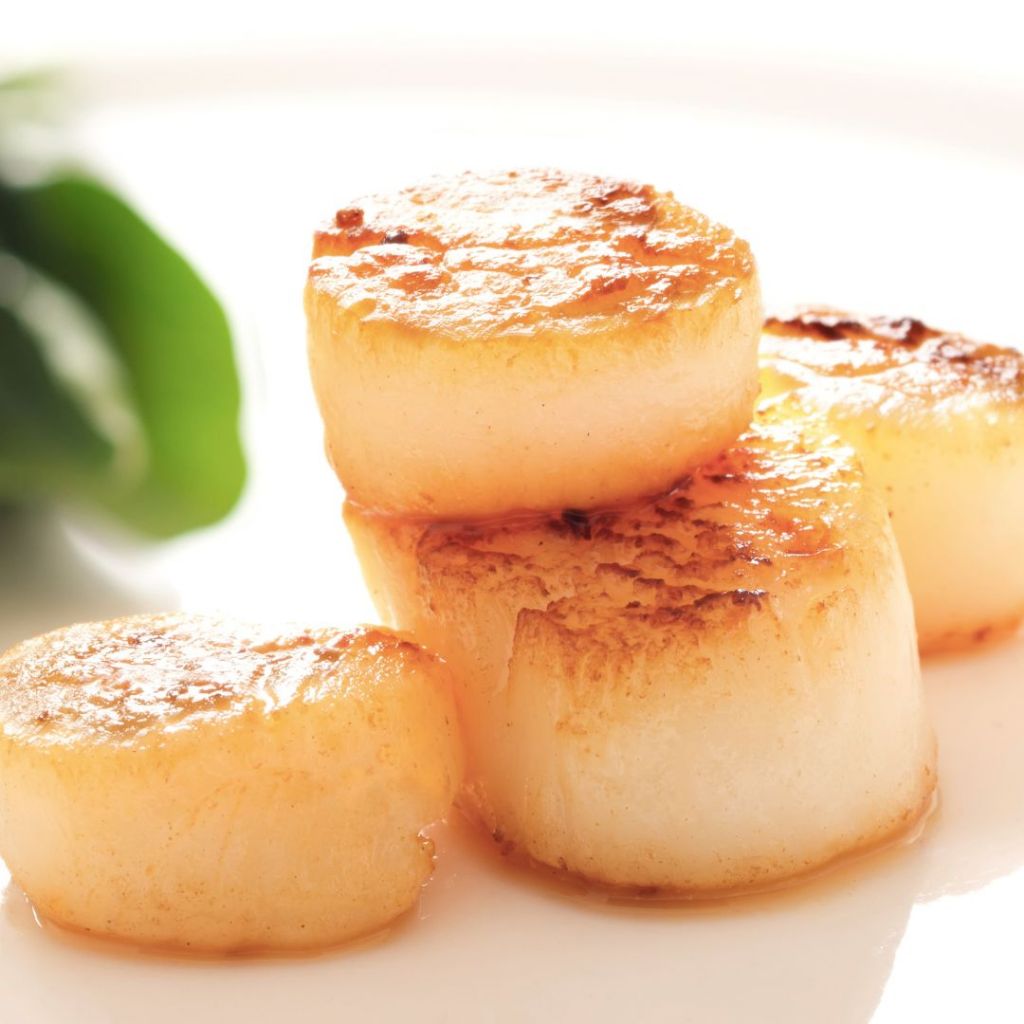 日本冷凍生食生干貝2L(16-20入)1lk | 蝦皮購物