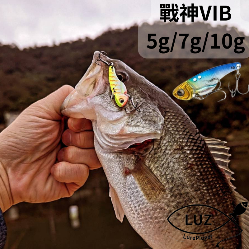 【LUZ路亞】【現貨】戰神VIB（5g／7g／10g／15g）金屬顫泳 路亞三叉鉤 路亞假餌 假餌 路亞軟蟲 假餌 | 蝦皮購物
