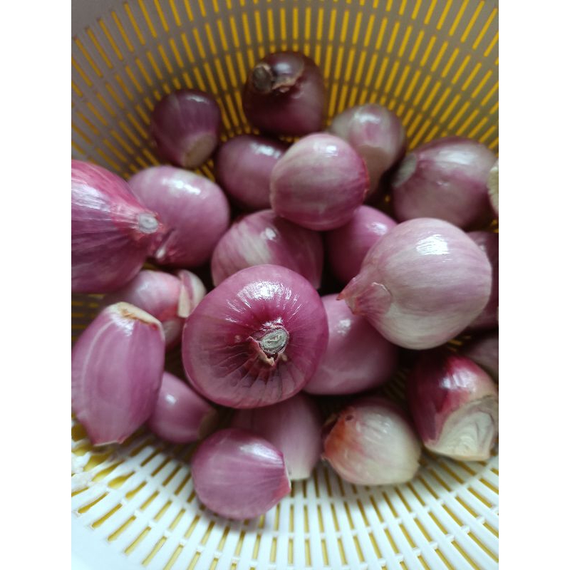 Bawang merah besar 250gr | 蝦皮購物