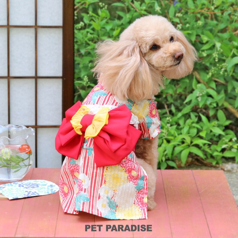 【PET PARADISE】日式菊花浴衣 (4S/DSS/DM)｜PP 2024新款 春季 祭典浴衣 | 蝦皮購物