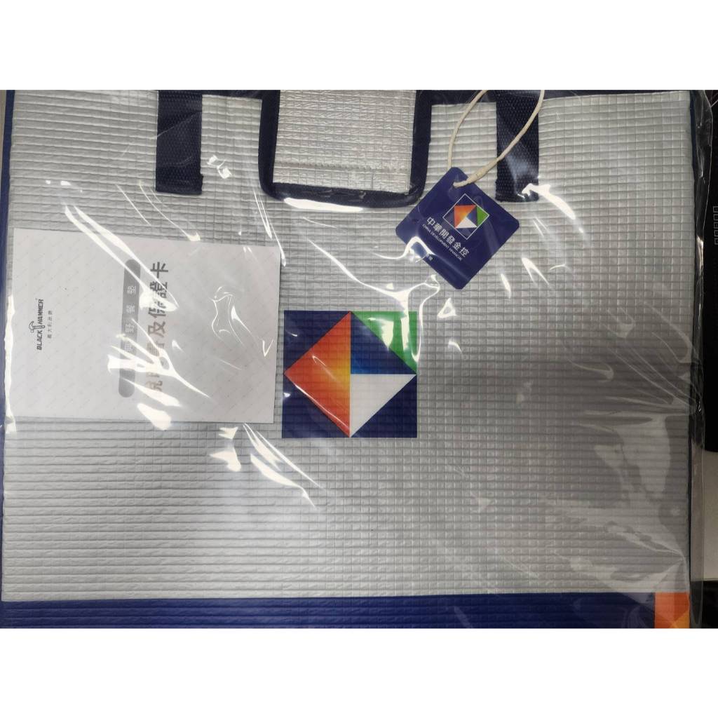 《哈屁喵股東》開發金~經典野餐墊~長108cm寬97.3cm~摺疊保冷保溫袋~2024年~股東會紀念品 | 蝦皮購物