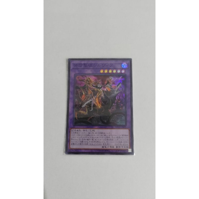 ROTA JP030 背信聖徒 西爾維亞 亮面 | 蝦皮購物