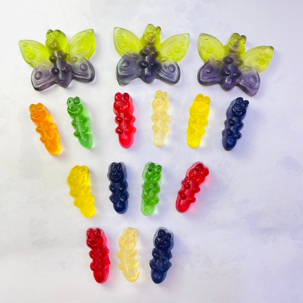 嘗甜頭 TROLLI 昆蟲 200公克 QQ糖 昆蟲軟糖 德國 造型軟糖 進口軟糖 豬膠 限量 花園 春天 遊戲 | 蝦皮購物