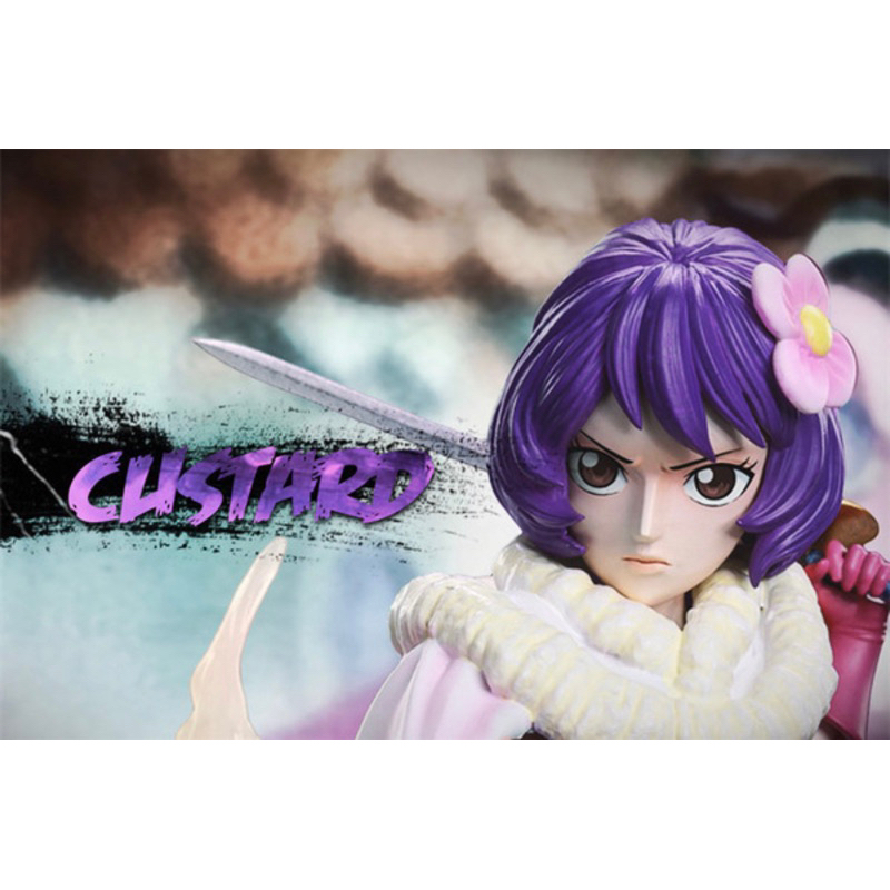 [現貨] G5卡斯塔德 大媽海賊團 海賊王 全新未拆 WCF GK | 蝦皮購物