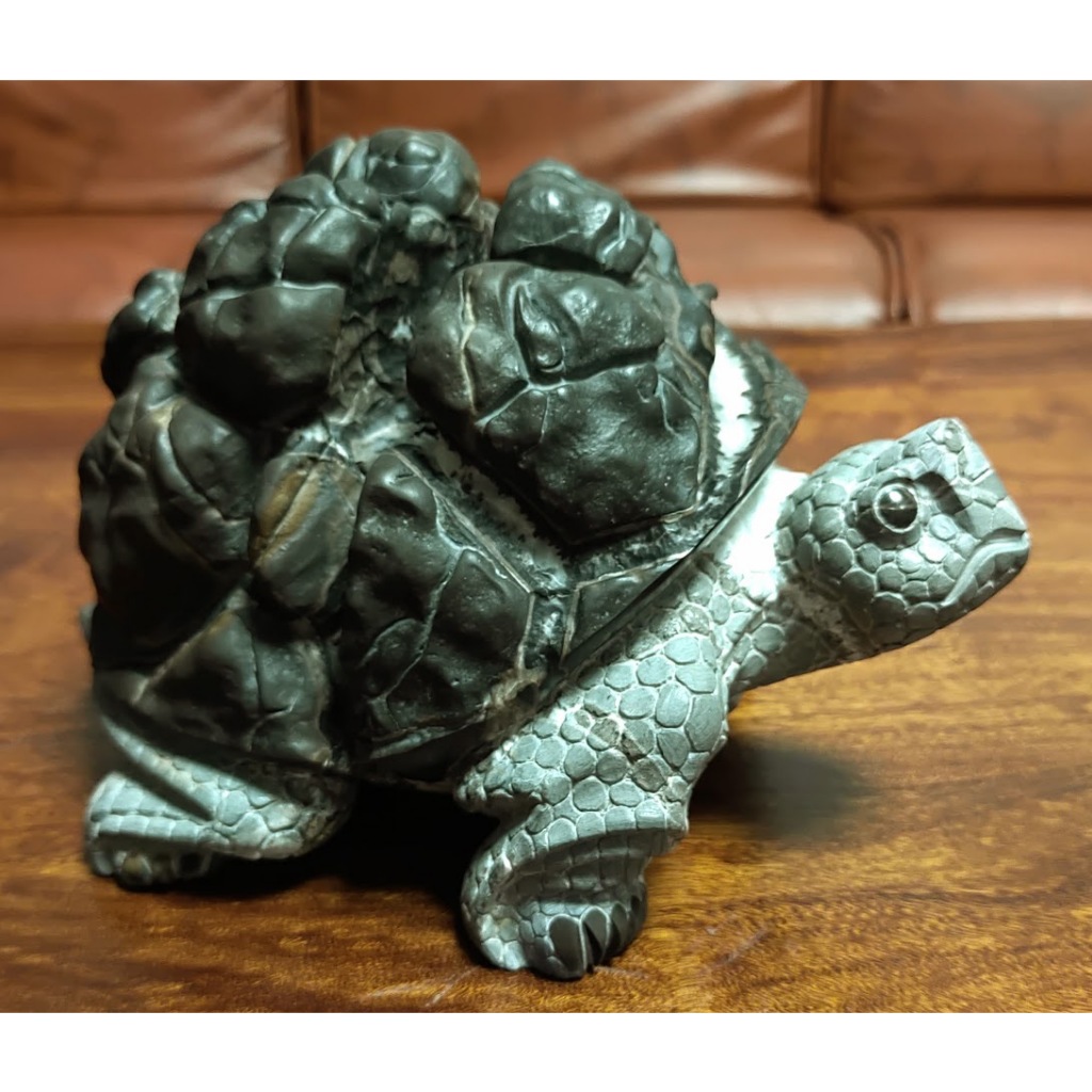 ~春秋樹石~頂級中品龜甲凸瘤 平安龜 曾志強(K291) | 蝦皮購物