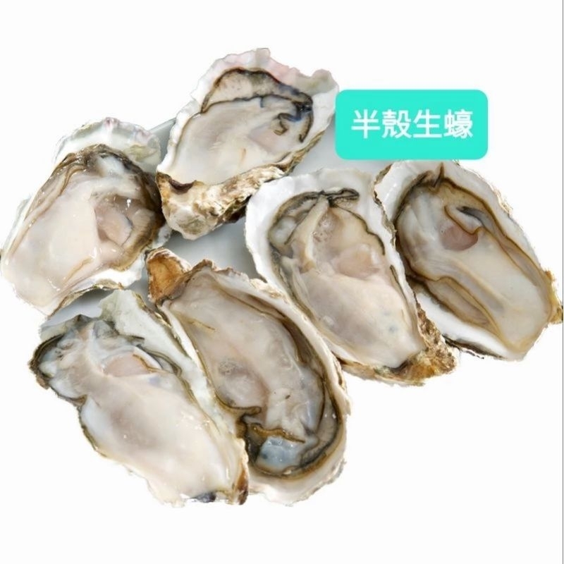 板橋阿禧鮮魚 半殼生蠔 〔整箱下單〕全家冷凍 799元免運費 現貨 | 蝦皮購物