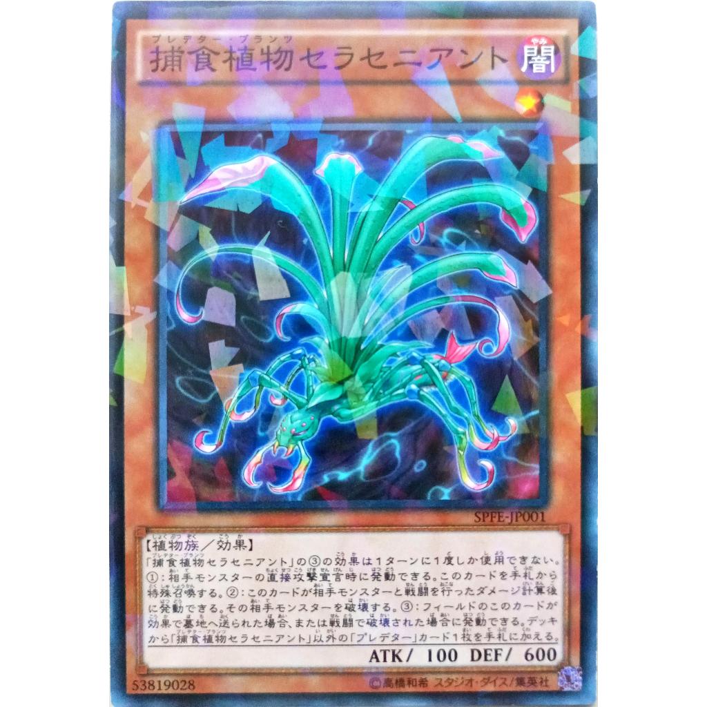 【遊戯王】捕食植物瓶子草蟻(DNPR)(SPFE-JP001) | 蝦皮購物