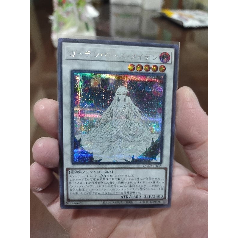 遊戲王 花園薔薇少女 QCDB-JP035 半鑽 | 蝦皮購物