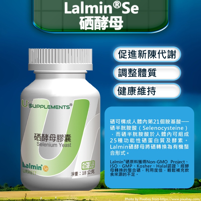 UrSupplements® Lalmin®硒酵母膠囊Selenium Yeast 200mcg/60顆@能量補給站@ | 蝦皮購物