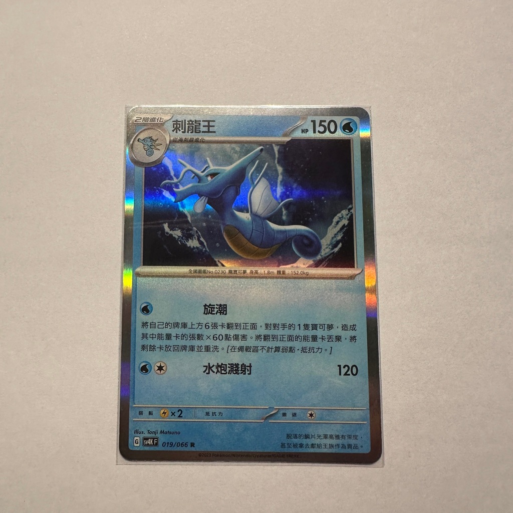 【BD Shop】寶可夢 PTCG SV4K 019/066 刺龍王 閃卡 | 蝦皮購物