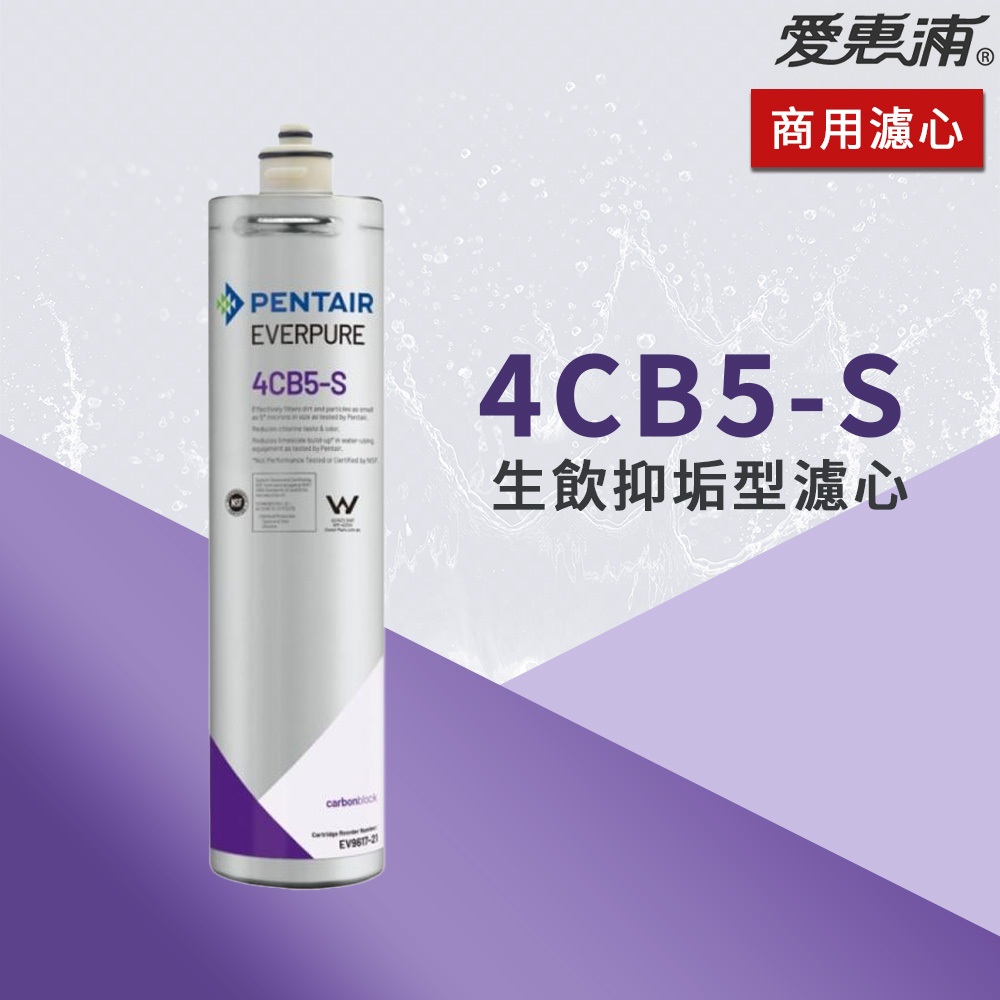 【思維康SWEETCOM】美國原廠愛惠浦 EVERPURE 4CB5S 生飲抑垢濾心 黑水保固公司貨 | 蝦皮購物