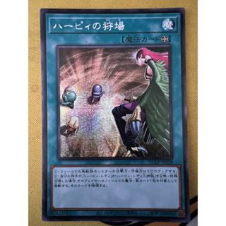 QCCP-JP128 神鷹狩獵場(半鑽) | 蝦皮購物