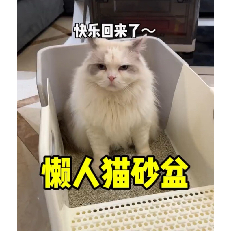 🐱正品🏅♡一鏟淨貓砂盆｜少女心選品♡ 搖一搖貓砂盆 懶人貓砂盆YYDS.us_ | 蝦皮購物