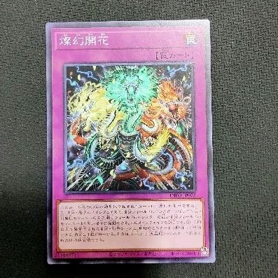 現貨 韓紙 遊戲王 INFO-JP073 燦幻開花 (普卡) 天盃龍 1205 | 蝦皮購物