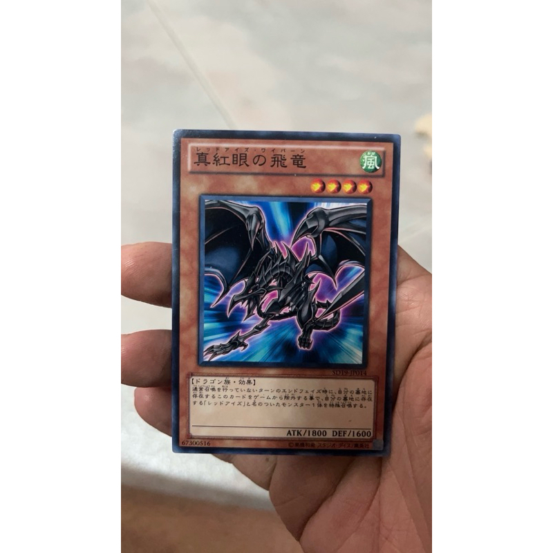 ～籃球人卡舖～ 遊戲王 SR02-JP009 真紅眼飛龍 (普卡) 搜尋:SD19-JP014 | 蝦皮購物