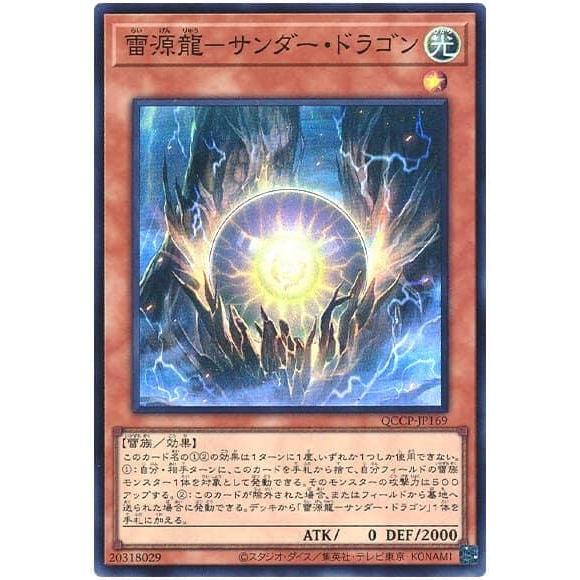 QCCP-JP169 雷源龍-雷龍 (亮面)郝 | 蝦皮購物