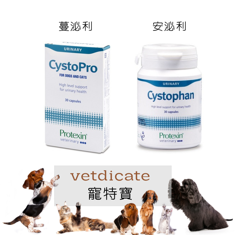 【米妃寵記】公司貨 vetdicate 寵特寶 Cystophan 安泌利 CystoPro 蔓泌利 膀胱炎 尿道黏膜 | 蝦皮購物
