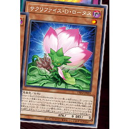【91特賣場】遊戲王 PHNI-JP003 納祭魔蓮花 (銀字) | 蝦皮購物