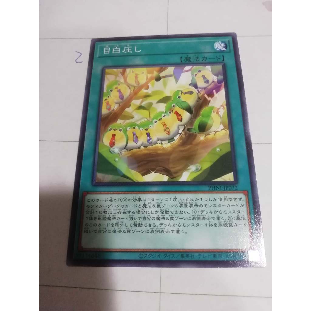 PHNI-JP072 鳥擠壓枝 隱普 | 蝦皮購物