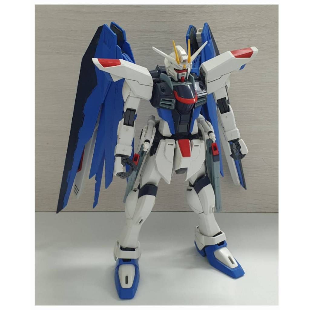 M205【米皇模型】 殺肉出清 MG 1/100 自由 ZGMF-X10A Freedom Gundam | 蝦皮購物