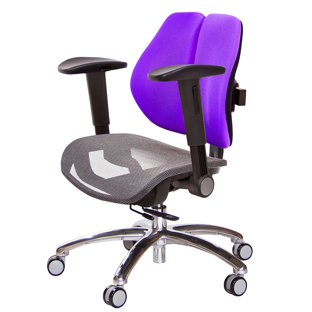 GXG 低雙背網座 工學椅(鋁腳/摺疊滑面扶手) 型號2805 LU1J | 蝦皮購物