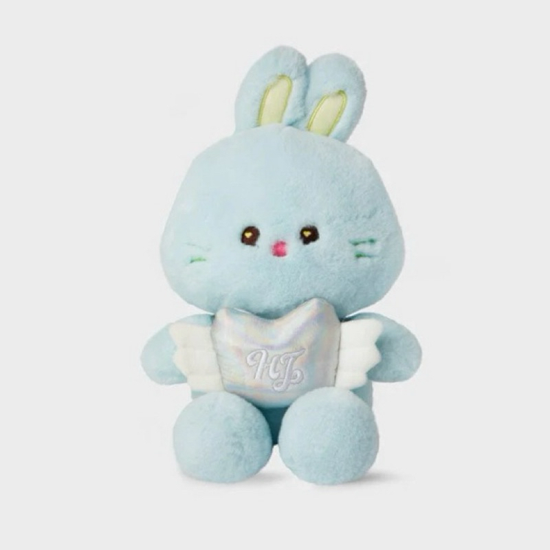 現 New Jeans Bunini 粉色 Hanni 有聲玩偶 情人節版 韓國代購 line friends | 蝦皮購物