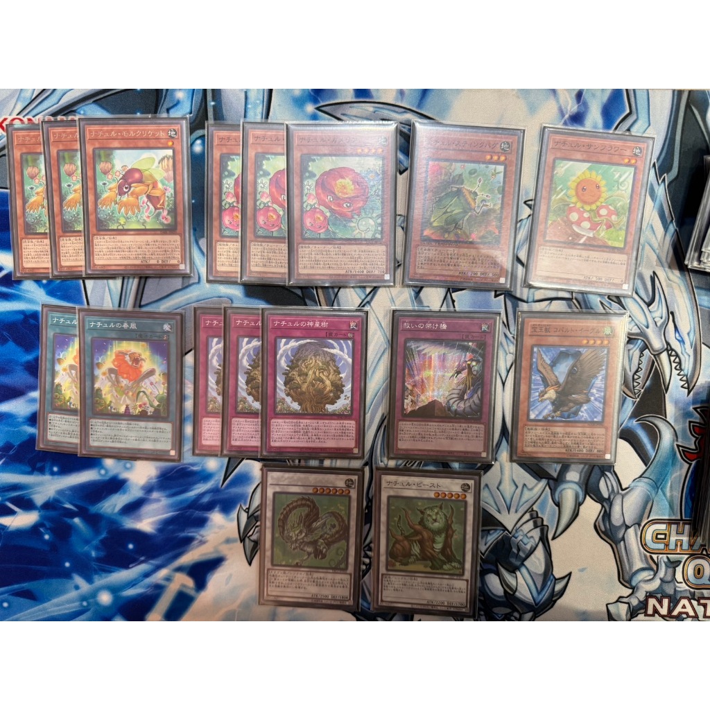遊戲王 牌組 日紙 自然 全套 自然獸 自然神龍 搜:SUB1-JP060 22TP-JP201 DT08-JP028 | 蝦皮購物