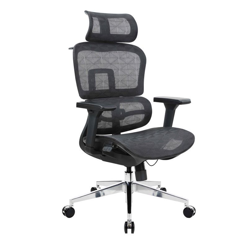 【NA27-1】伯恩人體工學全網椅 _BN01SGA ★東部及桃園以南請另詢運費 | 蝦皮購物