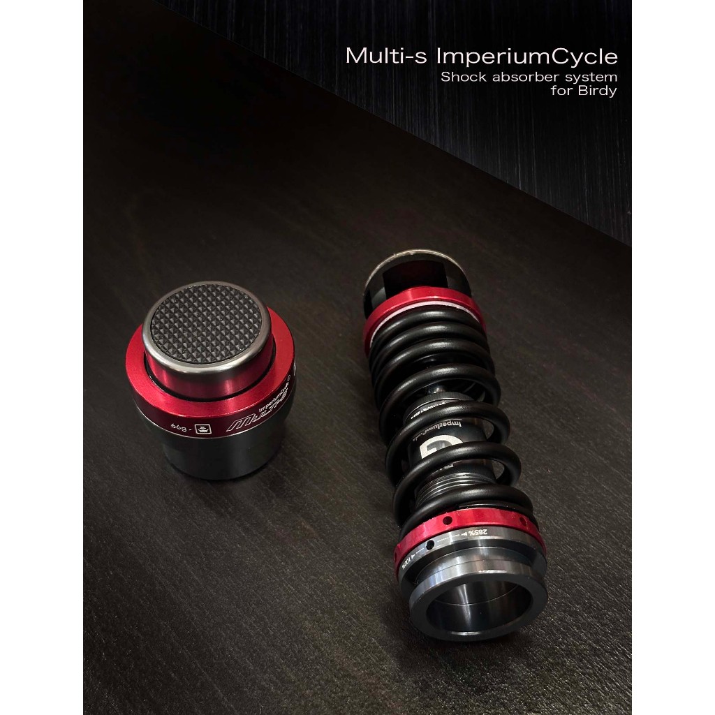 Multi-S G5 Plus版 Birdy 前後避震器組 前油壓 後PU 鳥車 彈簧 懸吊 > BIKEfun拜訪單車 | 蝦皮購物