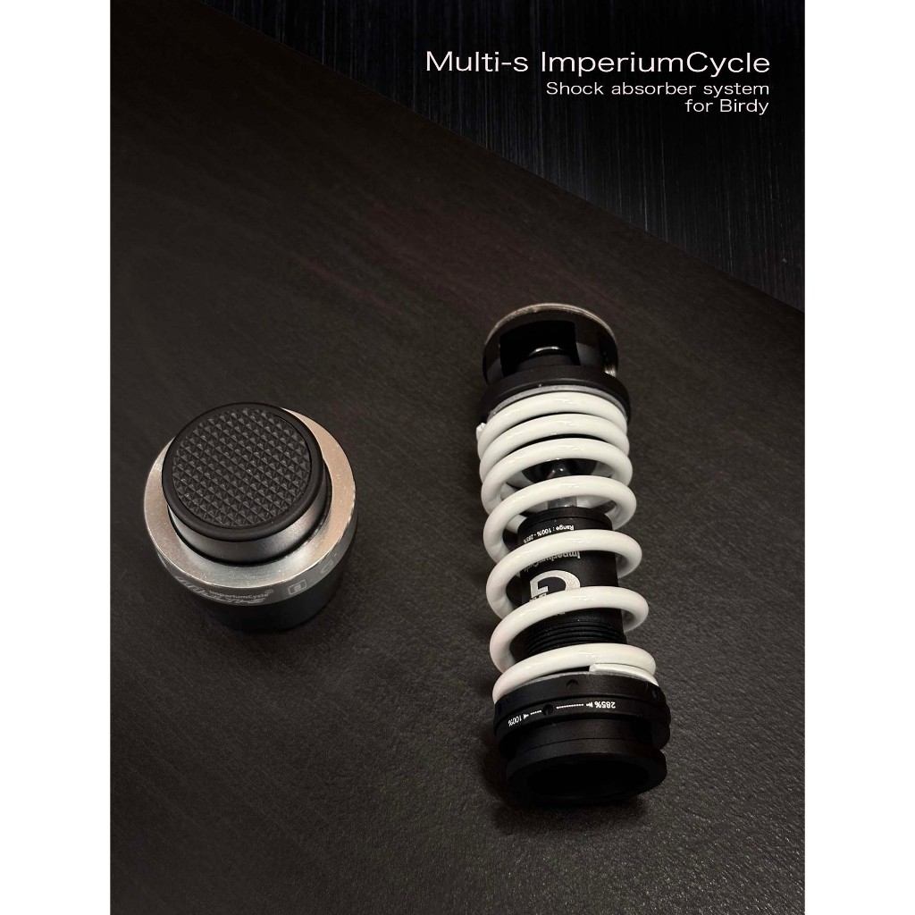 Multi-S G5 Plus版 Birdy 前後避震器組 前油壓 後PU 鳥車 彈簧 懸吊 > BIKEfun拜訪單車 | 蝦皮購物