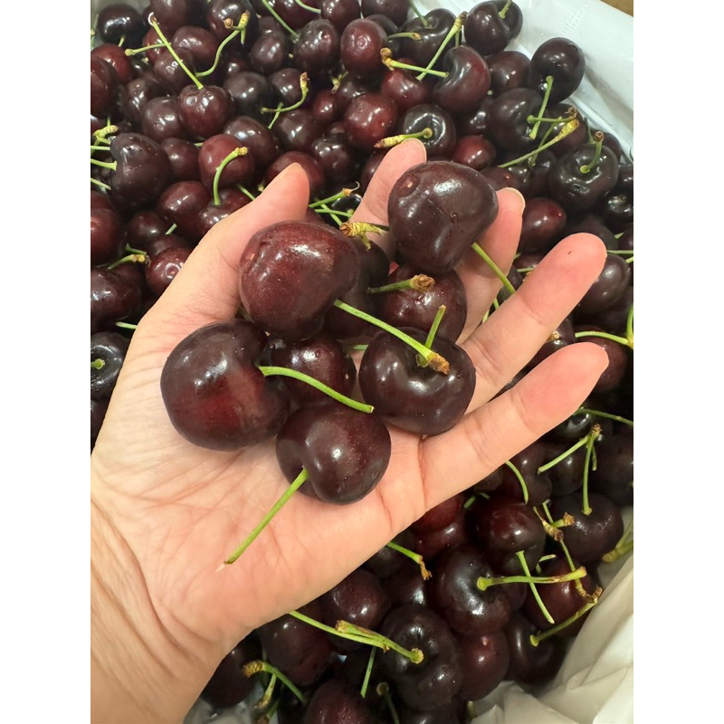 🇺🇸美國進口🍒skeena 櫻桃8.5R原裝箱2kg/5kg | 蝦皮購物