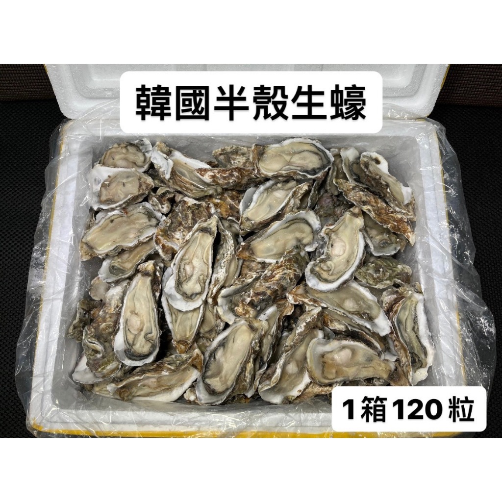 {東區鮮生}韓國半殼生蠔牡蠣2L需熟食 | 蝦皮購物