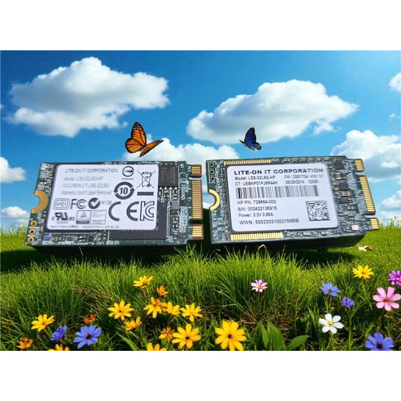 含稅 固態硬碟 SSD 32GB 32G M.2 SATA 保固1個月 06H312 | 蝦皮購物