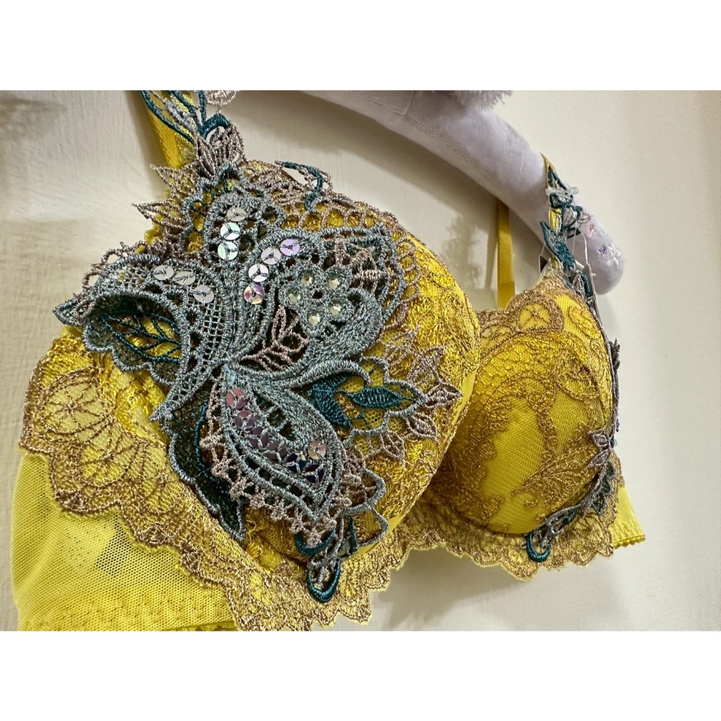 Salute 莎露 內衣 細緻蕾絲內衣 高CP 只屬與妳 75C C75 日本製 原價6880 | 蝦皮購物