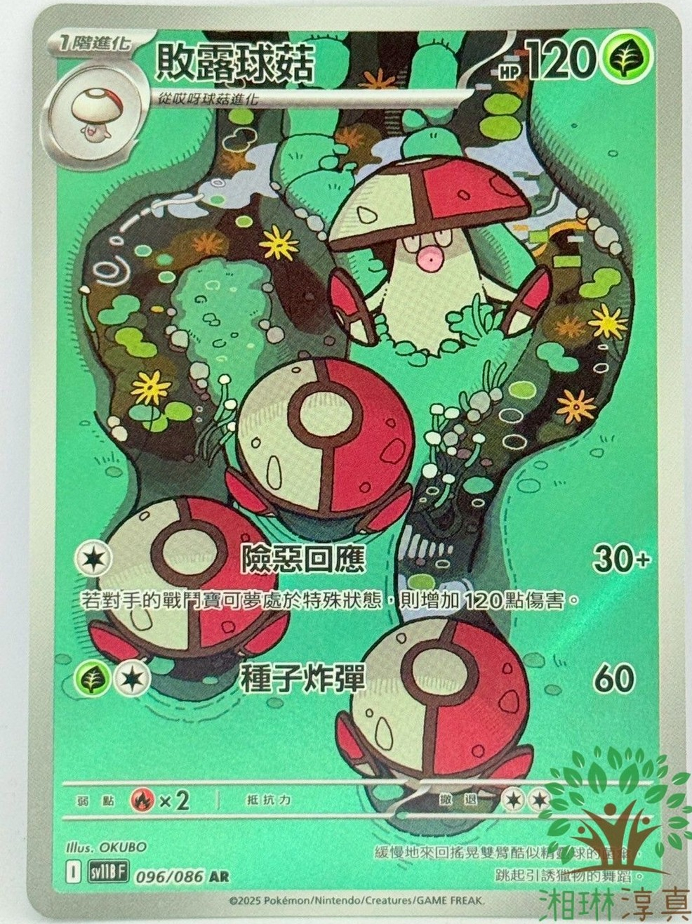 【湘琳淳真】寶可夢 PTCG 敗露球菇 AR SV11B 096 全圖 閃卡 漆黑伏特 中文 正版 卡牌 | 蝦皮購物